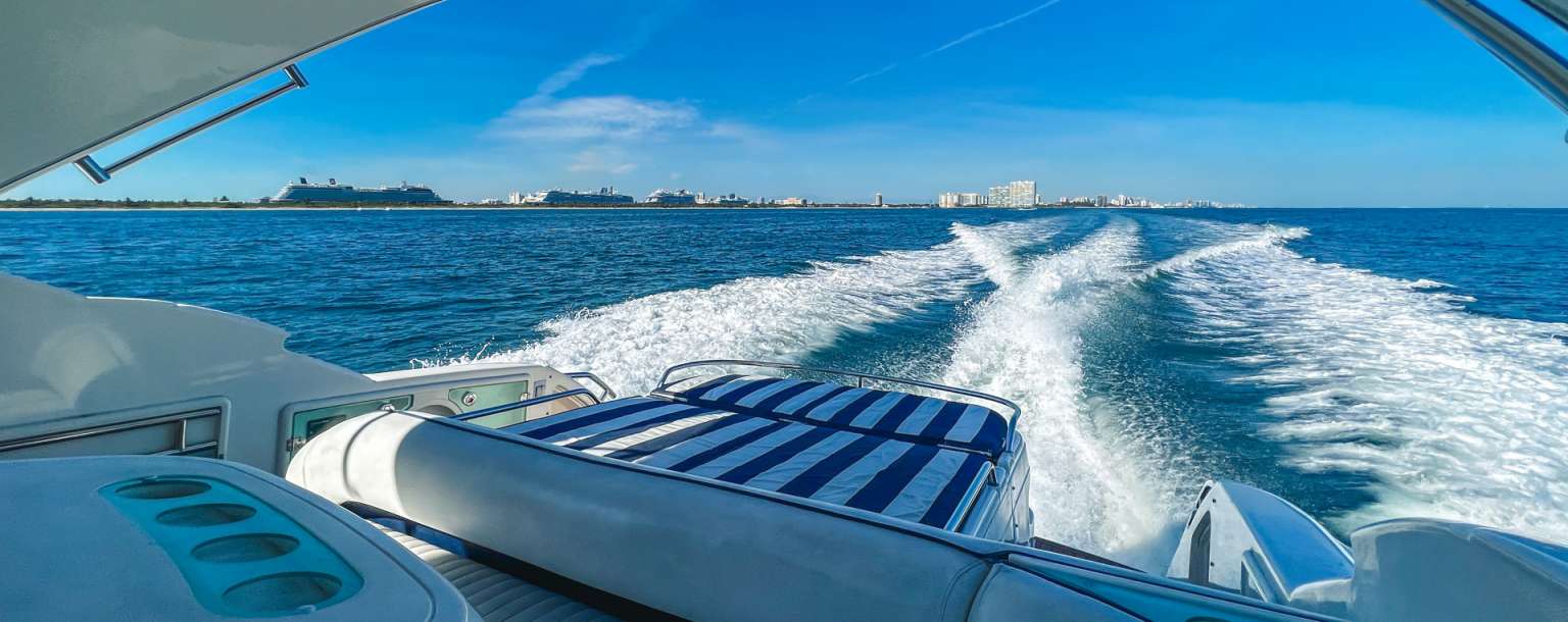 Bimini Trip - Flamingo