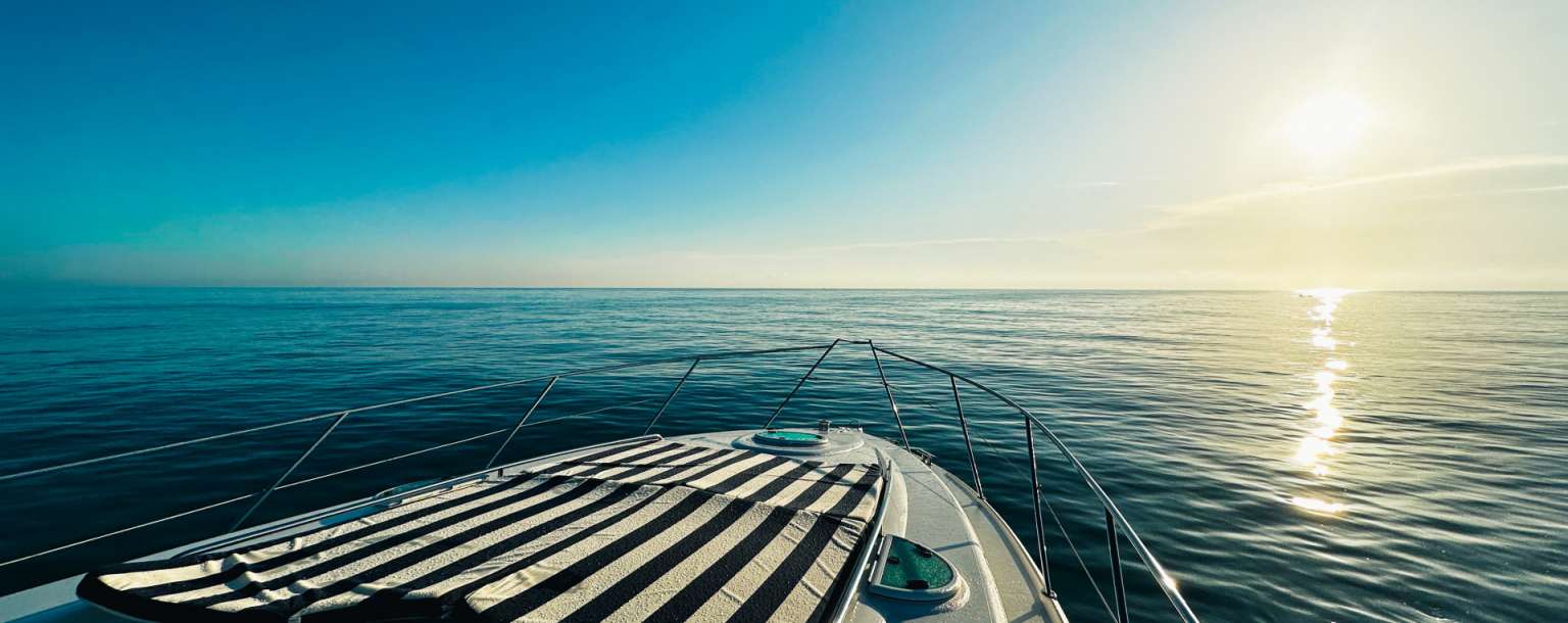 Bimini Trip - Flamingo