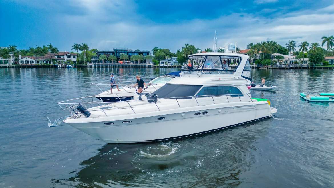 Bimini Trip - Flamingo