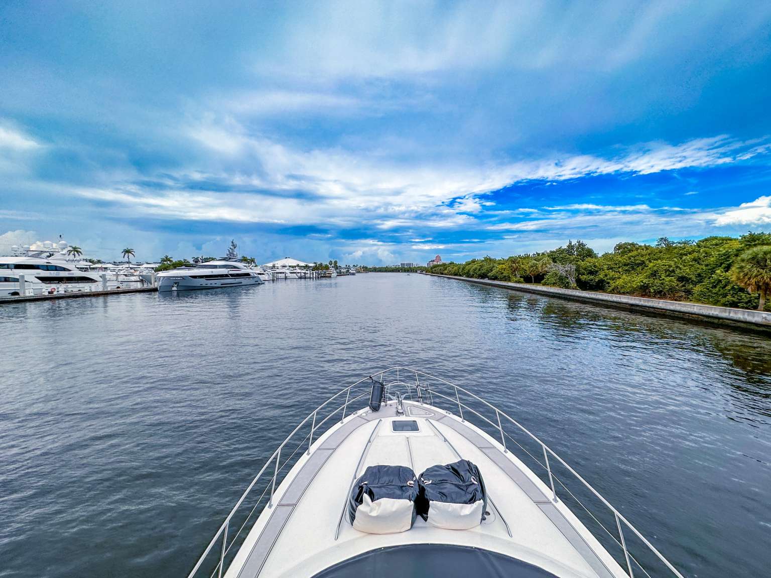 Bimini Trip - Flamingo